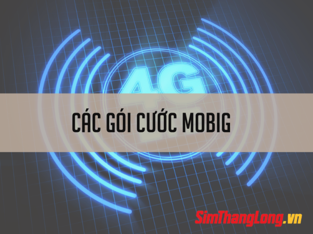 39 gói cước Mobifone trả sau - Ngàn ưu đãi cho mọi đối tượng