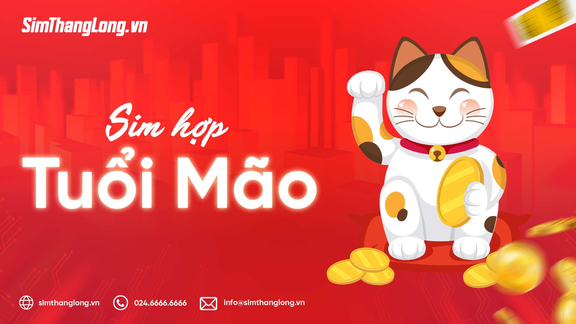 SIM hợp tuổi Mão đẹp, ấn tượng