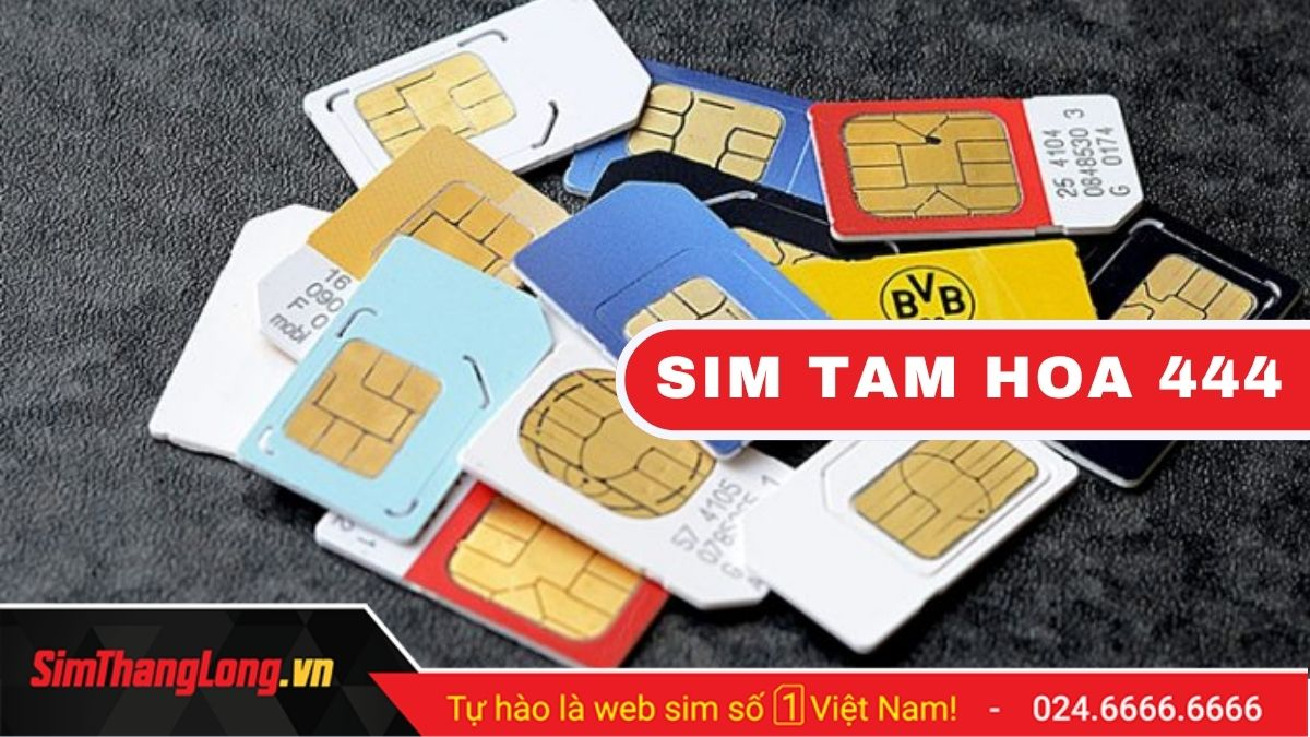#17.OOO Sim Tam Hoa 4 » đầu 09, 08 chỉ từ【279k】